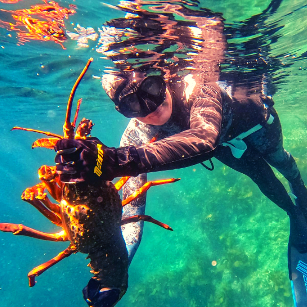 Diving Equipment Shop | Home | Maori Moana – MAORI MOANA ADVENTURES